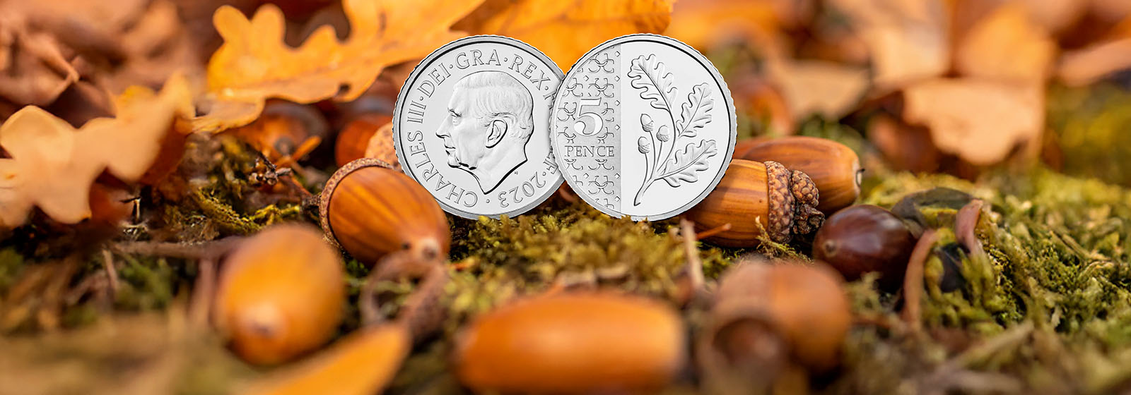 Five Facts About the 5p