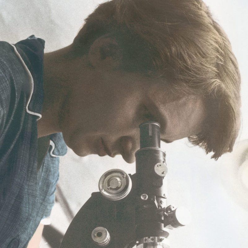 Collect | Stories | The Royal Mint